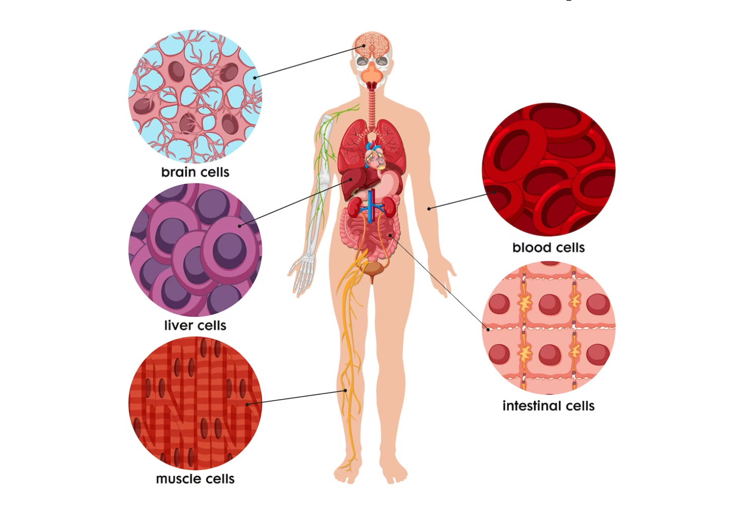 Enak Bareng: Tujuan Hidup Semua Makhluk – Yuk, Enak Bareng!